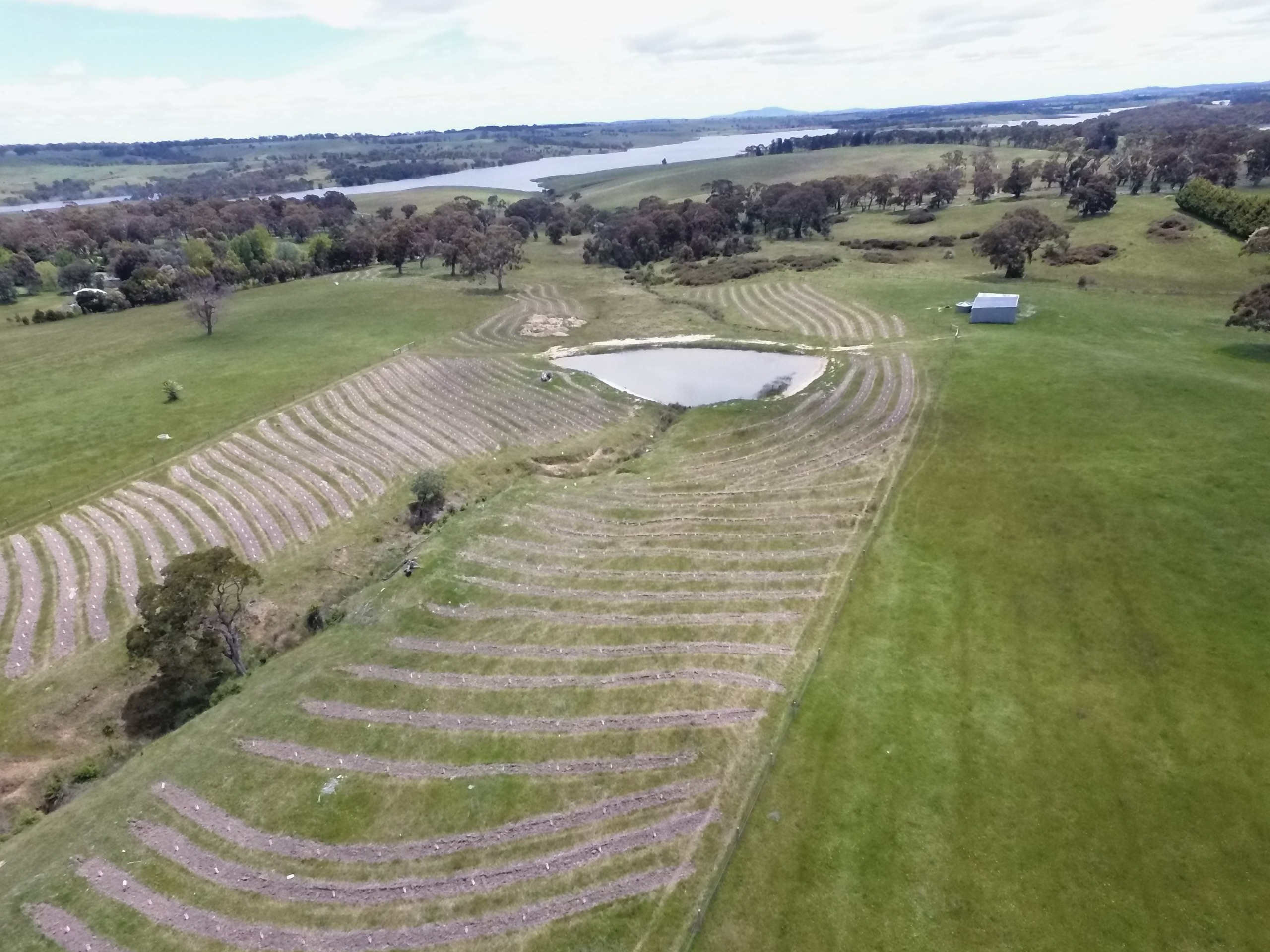 Leading the way to protect our water catchments | A Healthy Coliban ...