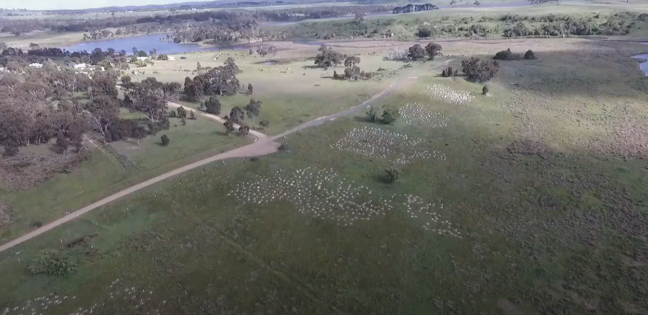 A Healthy Coliban Catchment | Connect Coliban