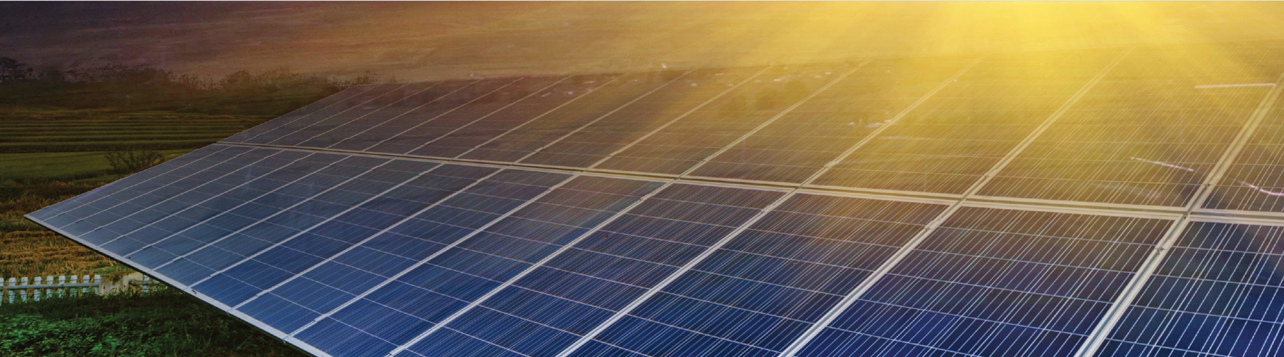 Pathway To NetZero | Connect Coliban